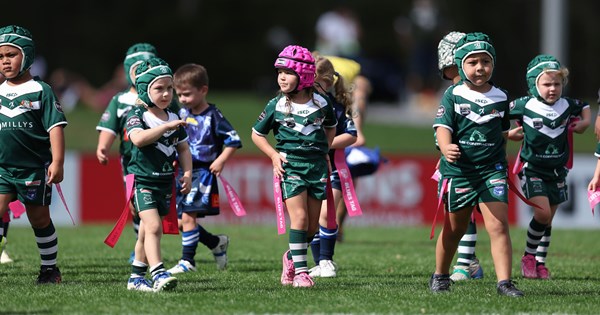 More than 6500 pledges heading into #RESPECT Round | NSWRL