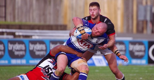 Dominant Bulldogs Ease Past Tigers | NSWRL