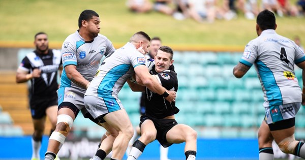 Wentworthville Halves The Key To Success | NSWRL