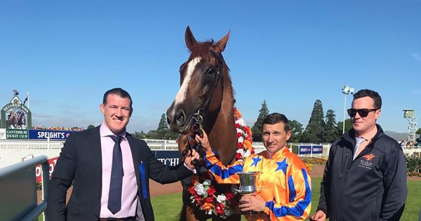 NRL Cronulla Sharks Paul Gallen thrilled by superstar racehorse Te Akau ...