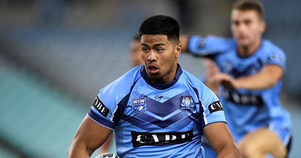 Wayne to back Payne for Broncos NRL role | NSWRL